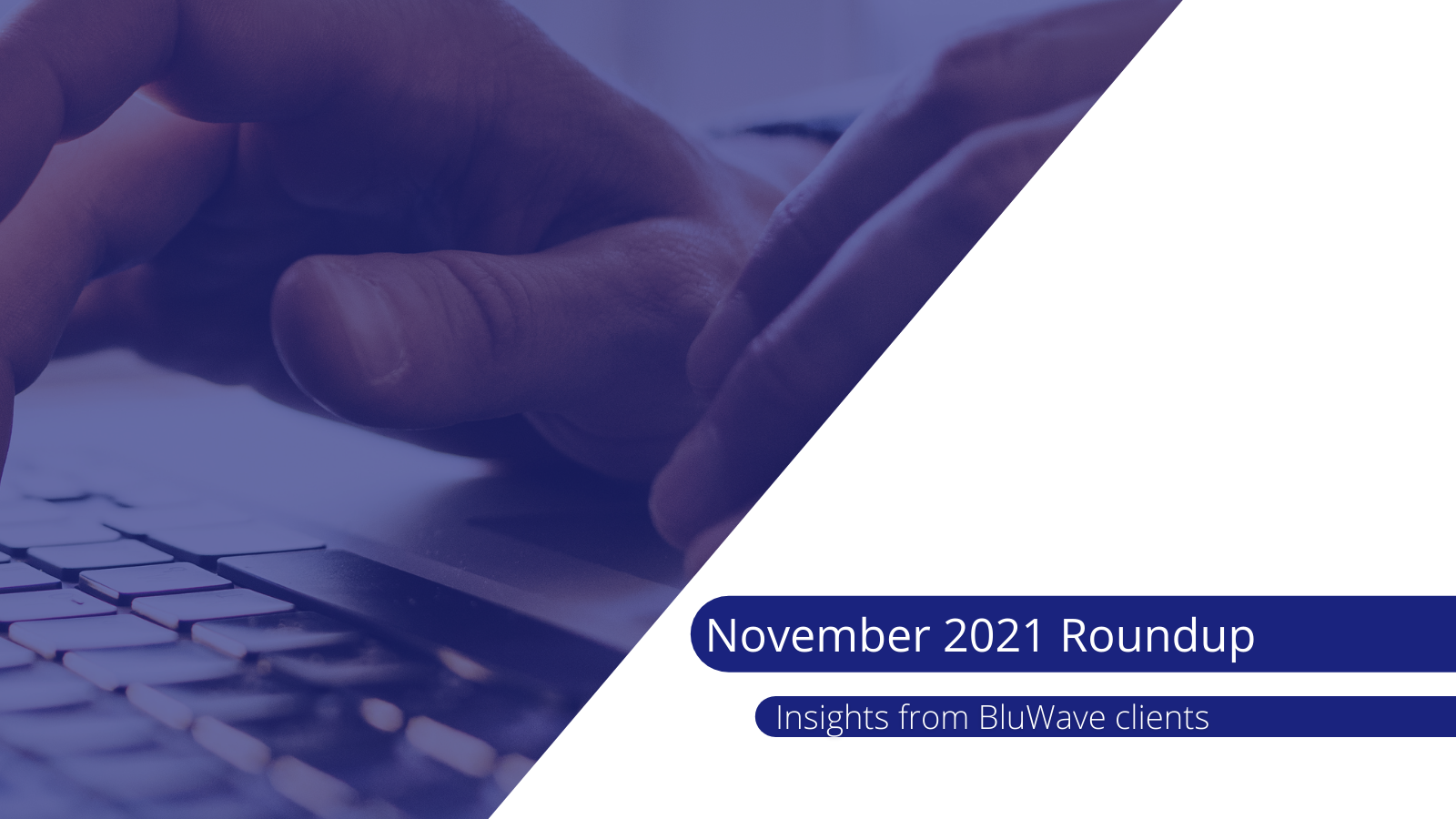 December 2021 Roundup: BluWave Client Insights - BluWave
