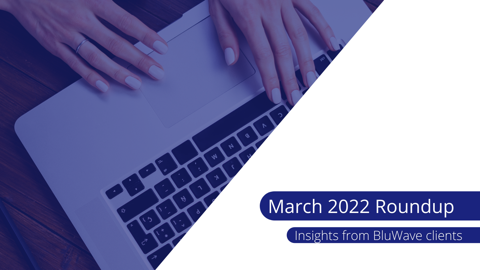September 2022 Roundup: BluWave Client Insights - BluWave